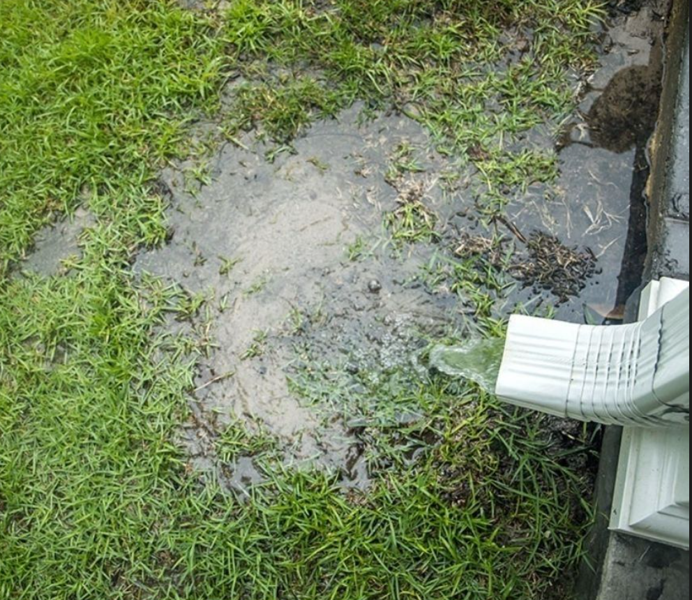 Protecting Your Home’s Foundation: The Key Role of Effective Drainage ...